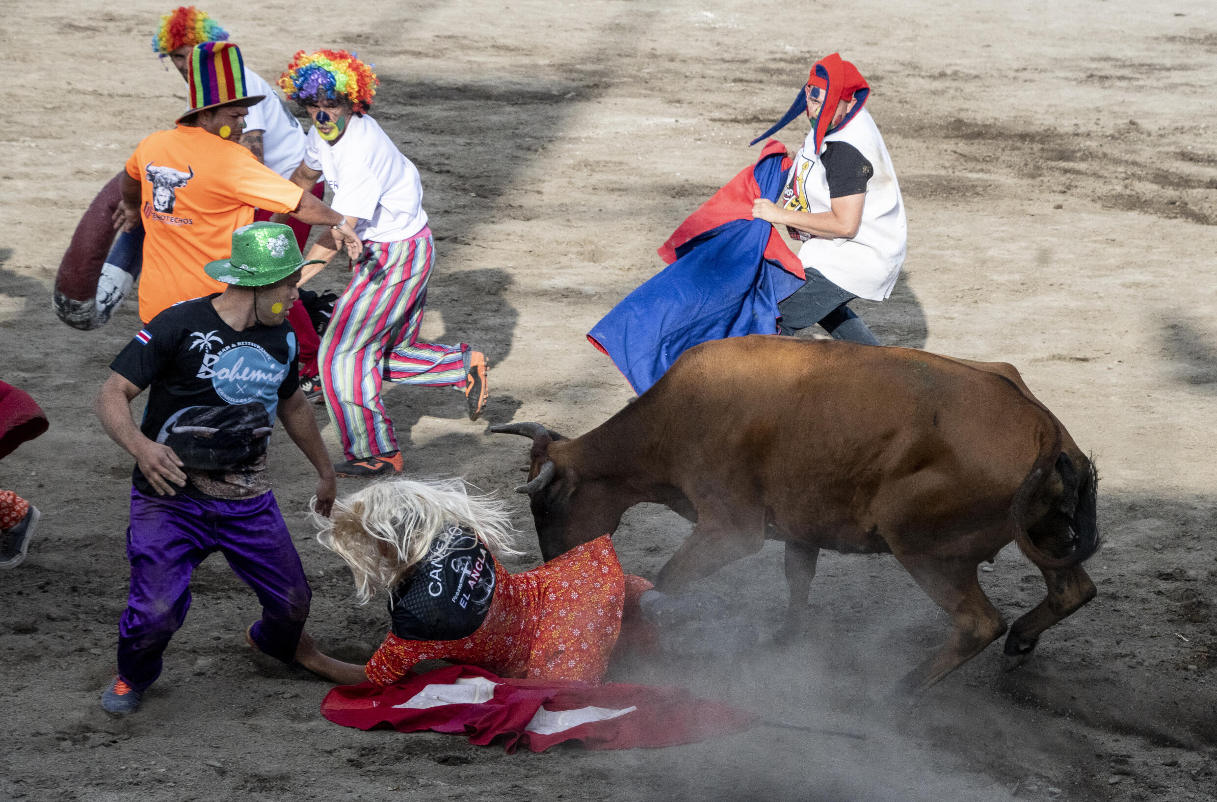 "Toros a la tica" o la tauromaquia al revés de Costa Rica