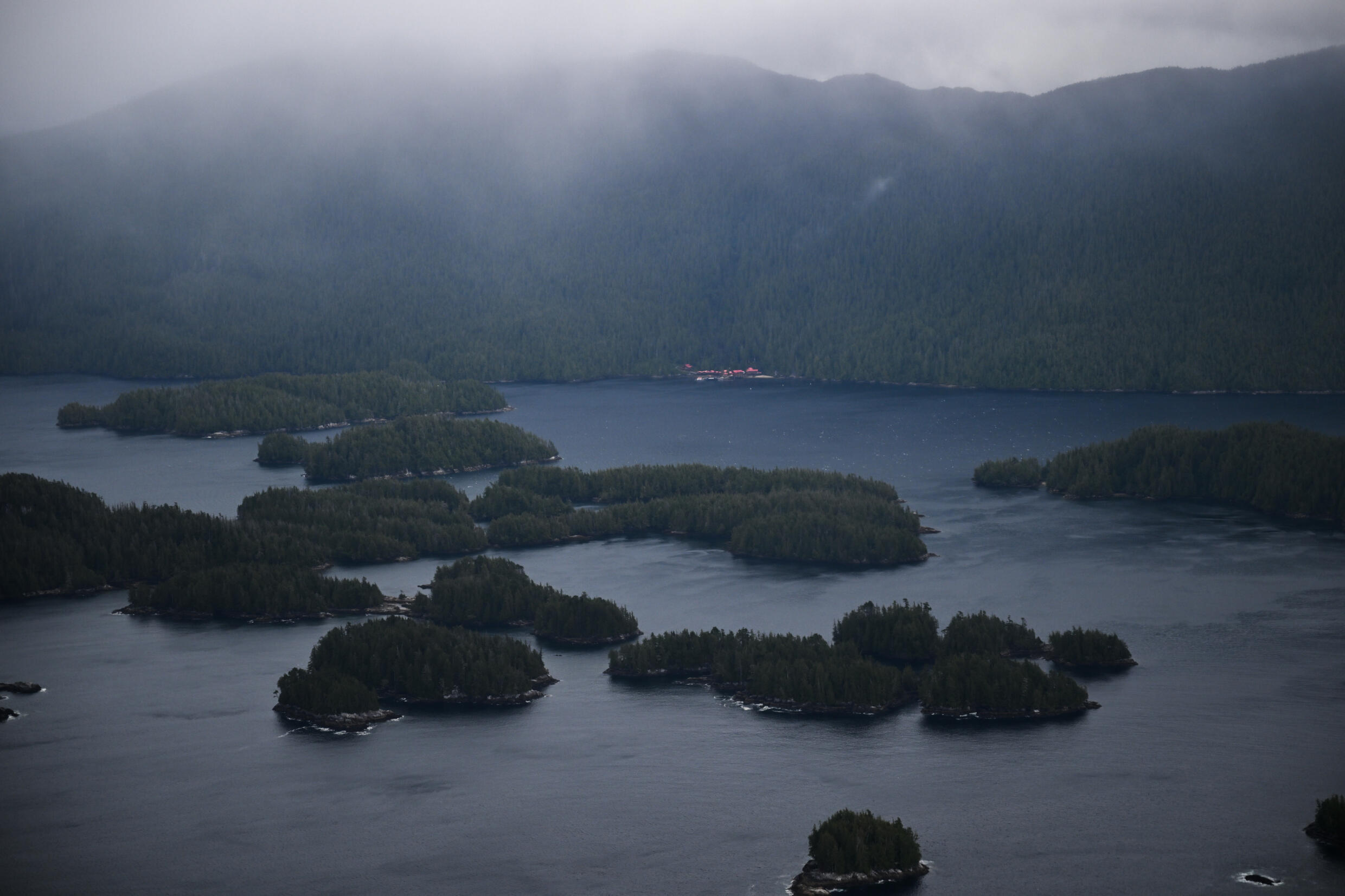 "Las Galápagos del Norte" en Canadá, modelo de protección de la ...