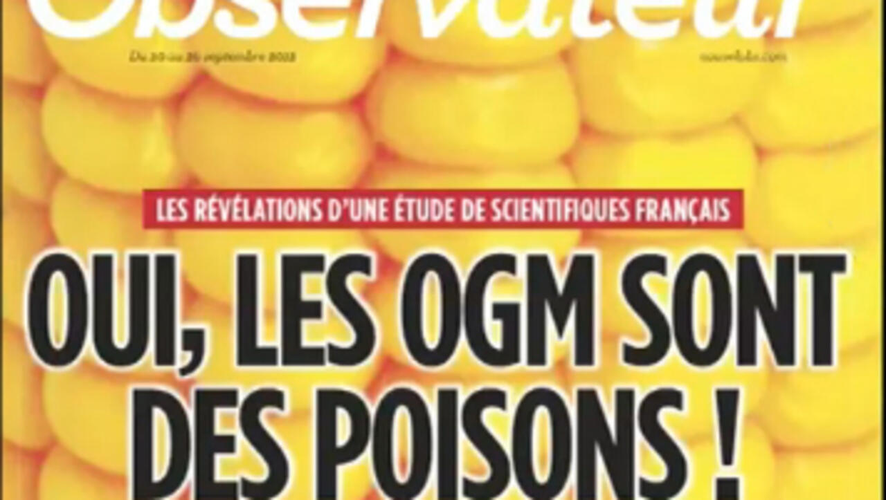 OGM, une étude préoccupante