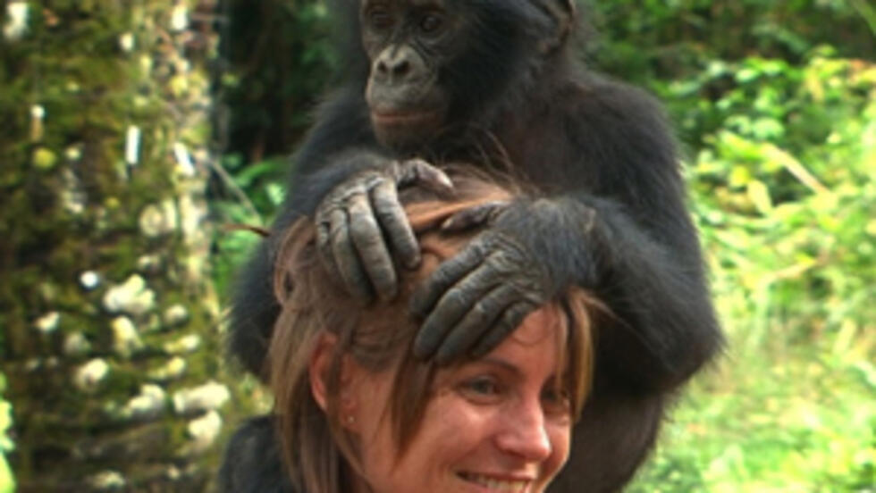 1. Quel lien entre les grands singes, la forêt et nous ? - Autour de la ...