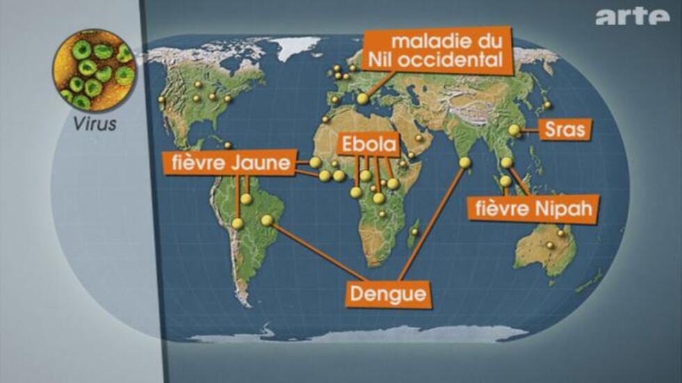 2. Pourquoi les épidémies ? - Autour de la question, le magazine de ...