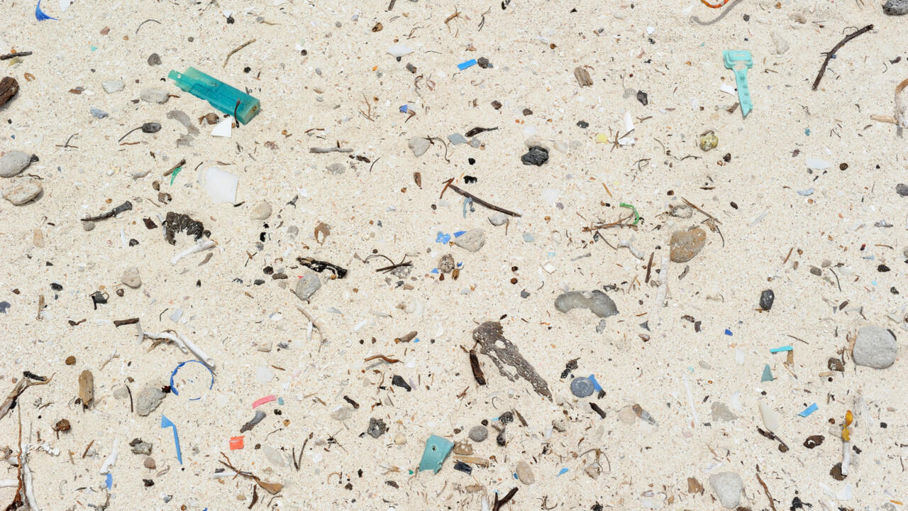 Microplastiques, nanoplastiques: quels effets sur la santé