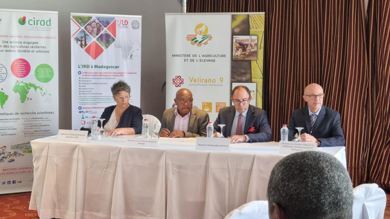 À Madagascar, lancement d'un grand projet de recherches sur les ...