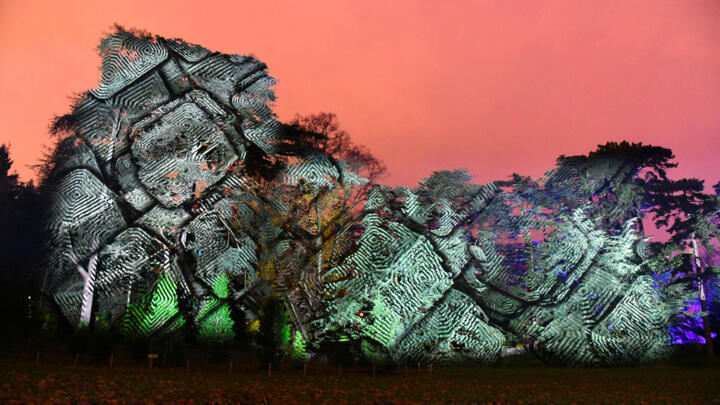 Javier Riera: luz, matemáticas y árboles - Mundo Ciencia