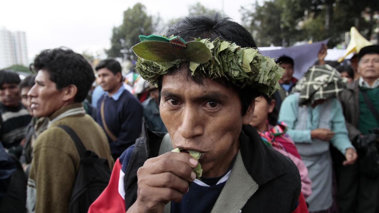 Bolivianos saem às ruas para defender consumo de folhas de coca