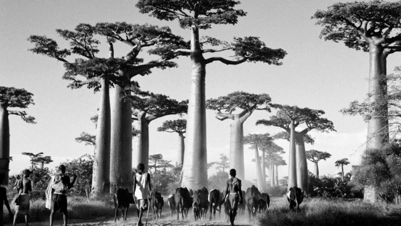 Le photographe malgache Pierrot Men expose au musée du Quai Branly ...