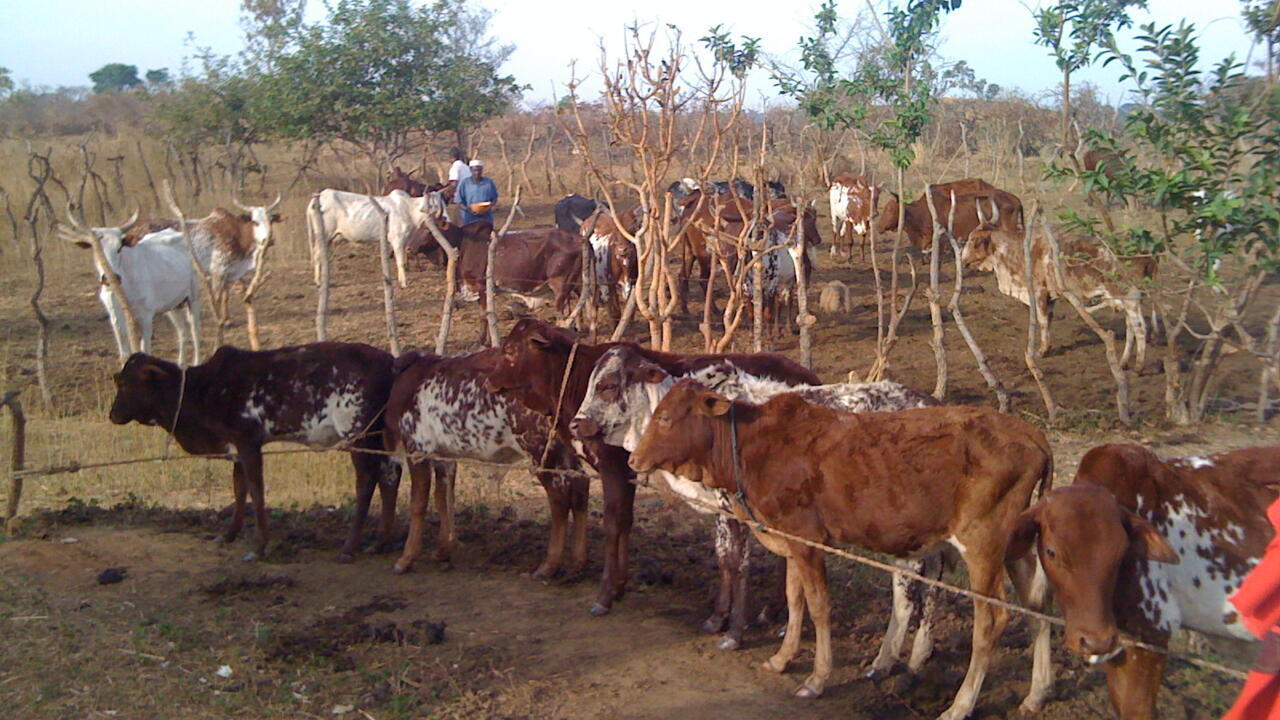 SAN 2026: Diyɛn tɔnba ye nin san kura in de sugandi ka dan sigi ...