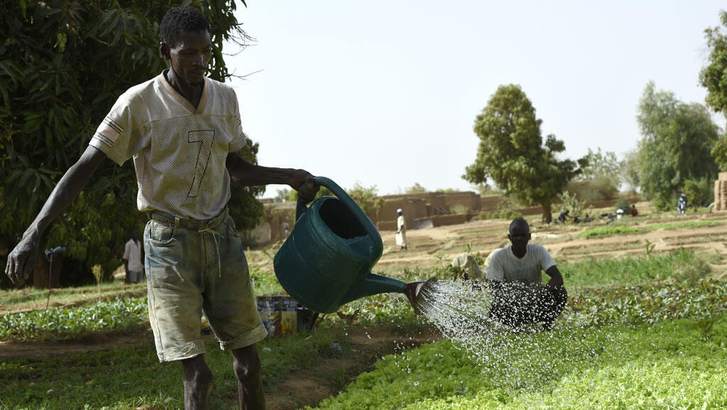 La télé irrigation, le nouveau système agricole au Niger - L'Afrique en ...