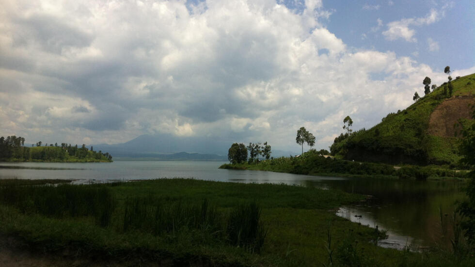 L’Institut national pour la conservation de la nature de RDC lance ses ...