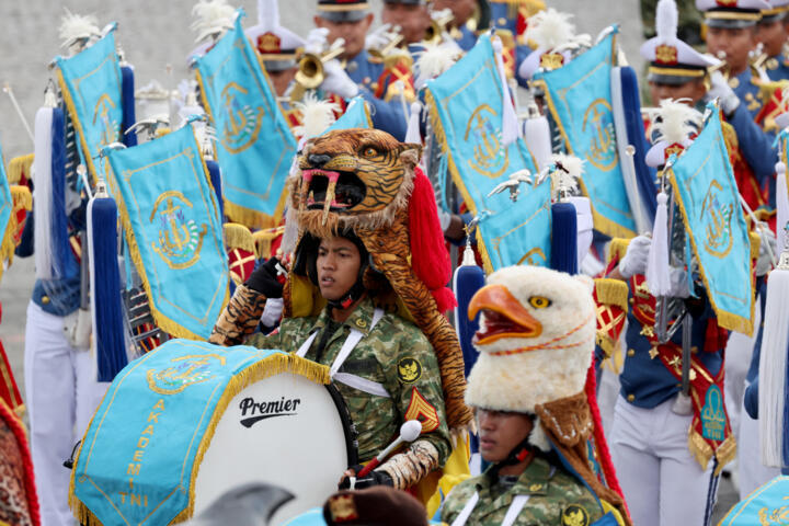 Bastille Day parade shows 'operational capability of French army'