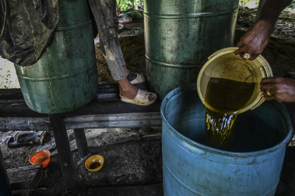 Cocaine market sees new players, bananas and Amazon submarines: report