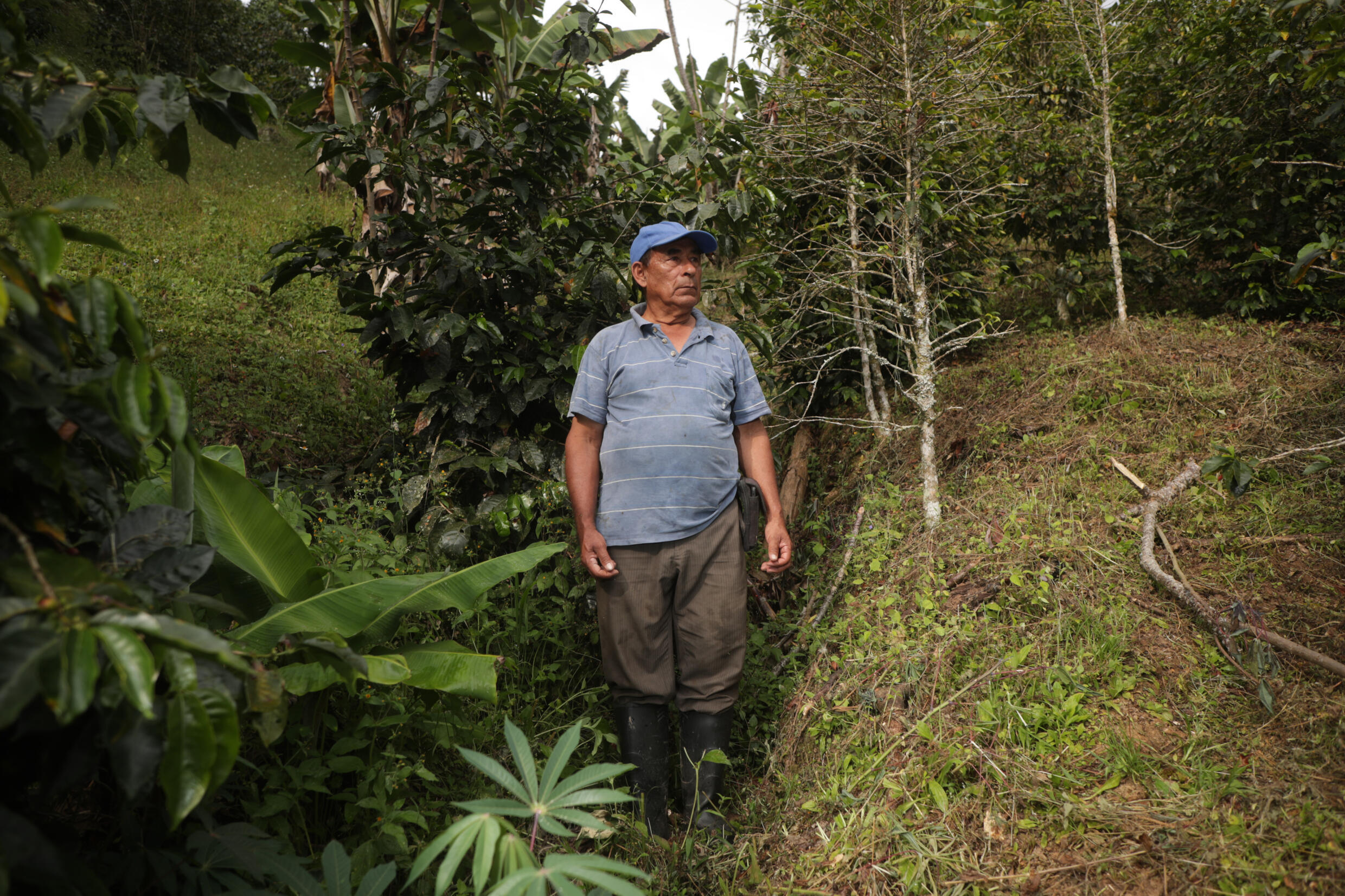 Super Bowl snack hurting Colombian farmers, environment
