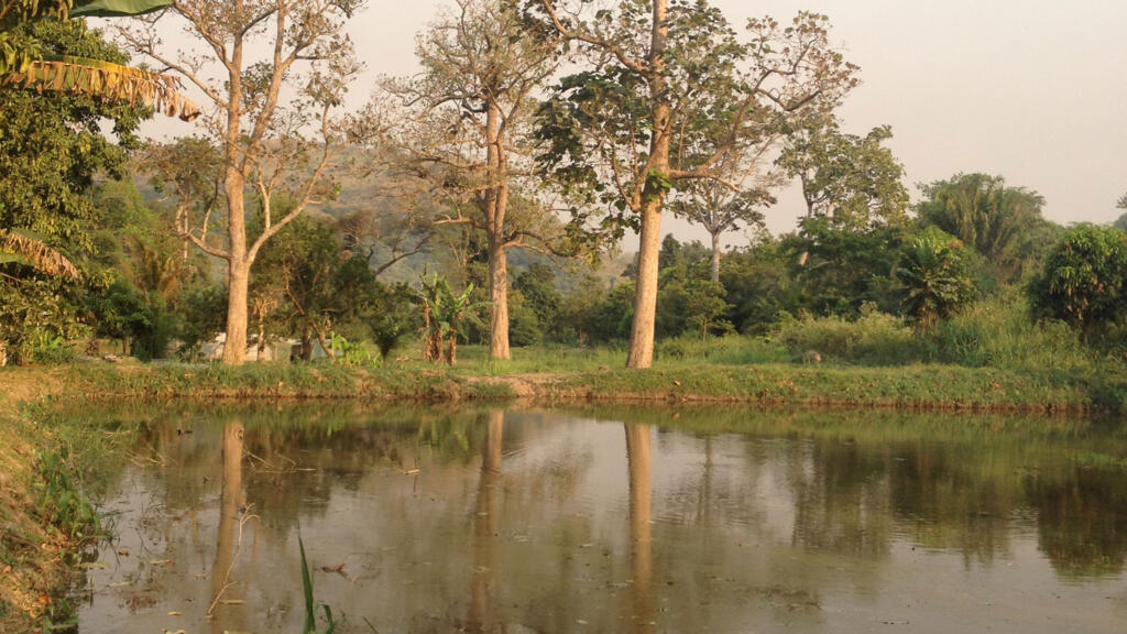 Le pulaar - Danse des mots