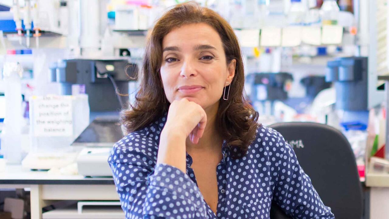 “A luta diária” de Maria Mota contra o parasita da malária - Ciência