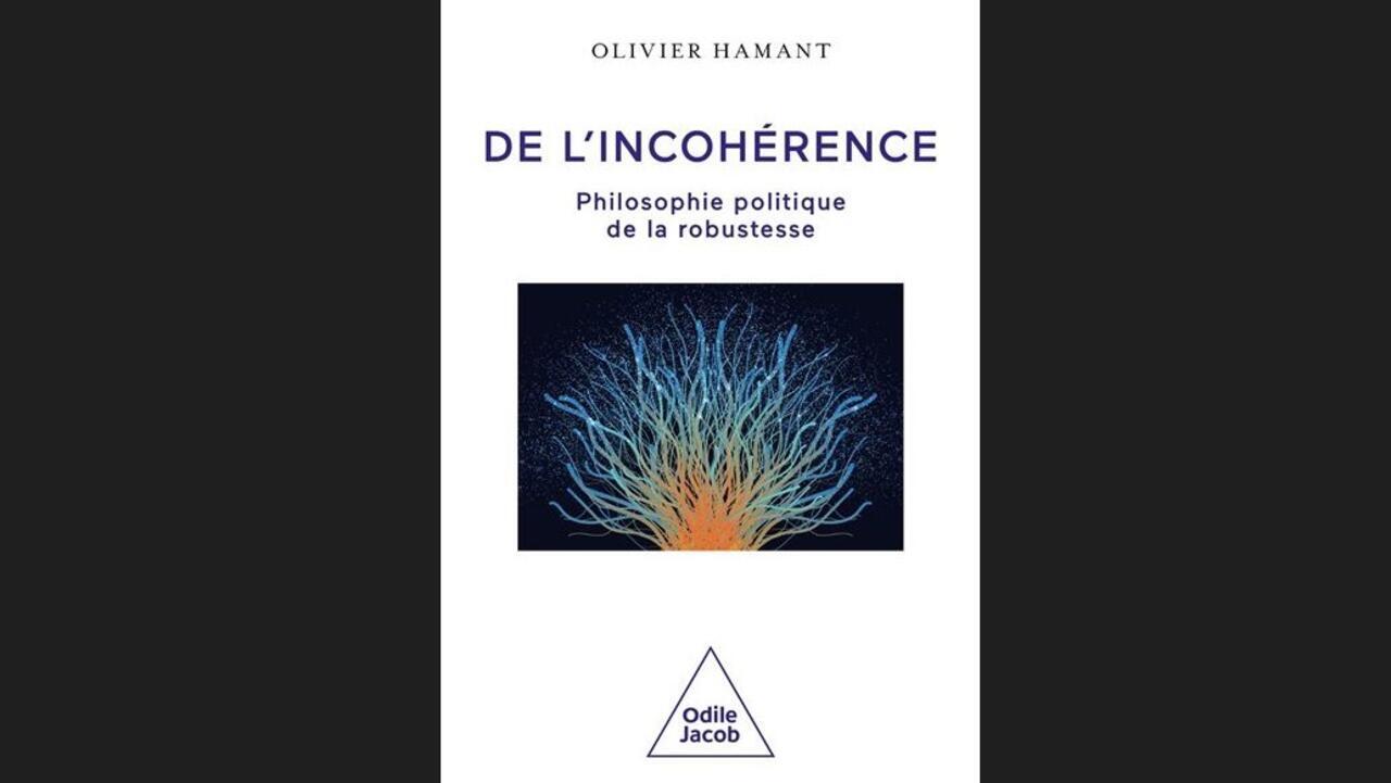 Pourquoi faire l’éloge de l’incohérence ? - Autour de la question, le ...