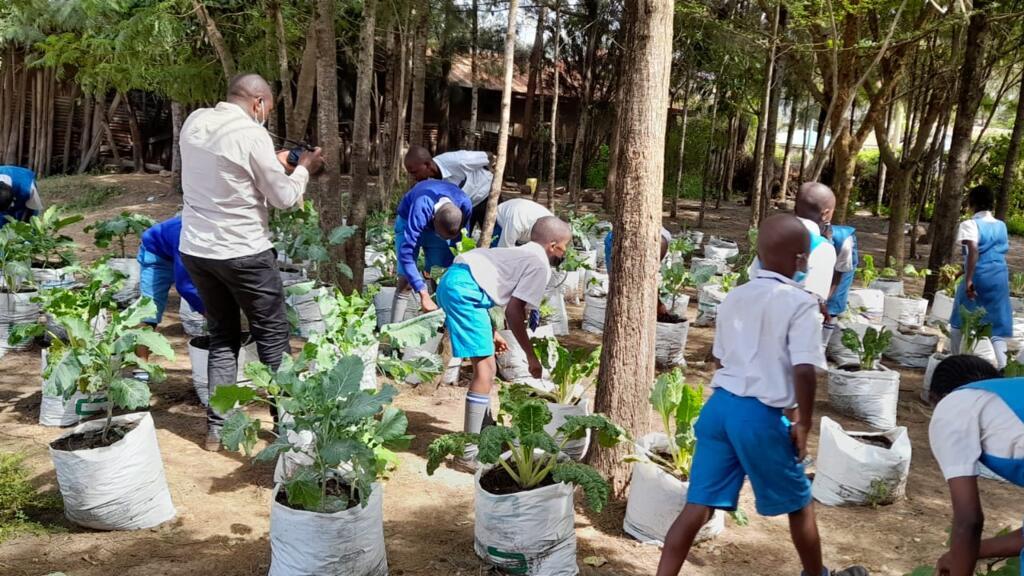 Kenyan farmers turn to organic farming for better yields