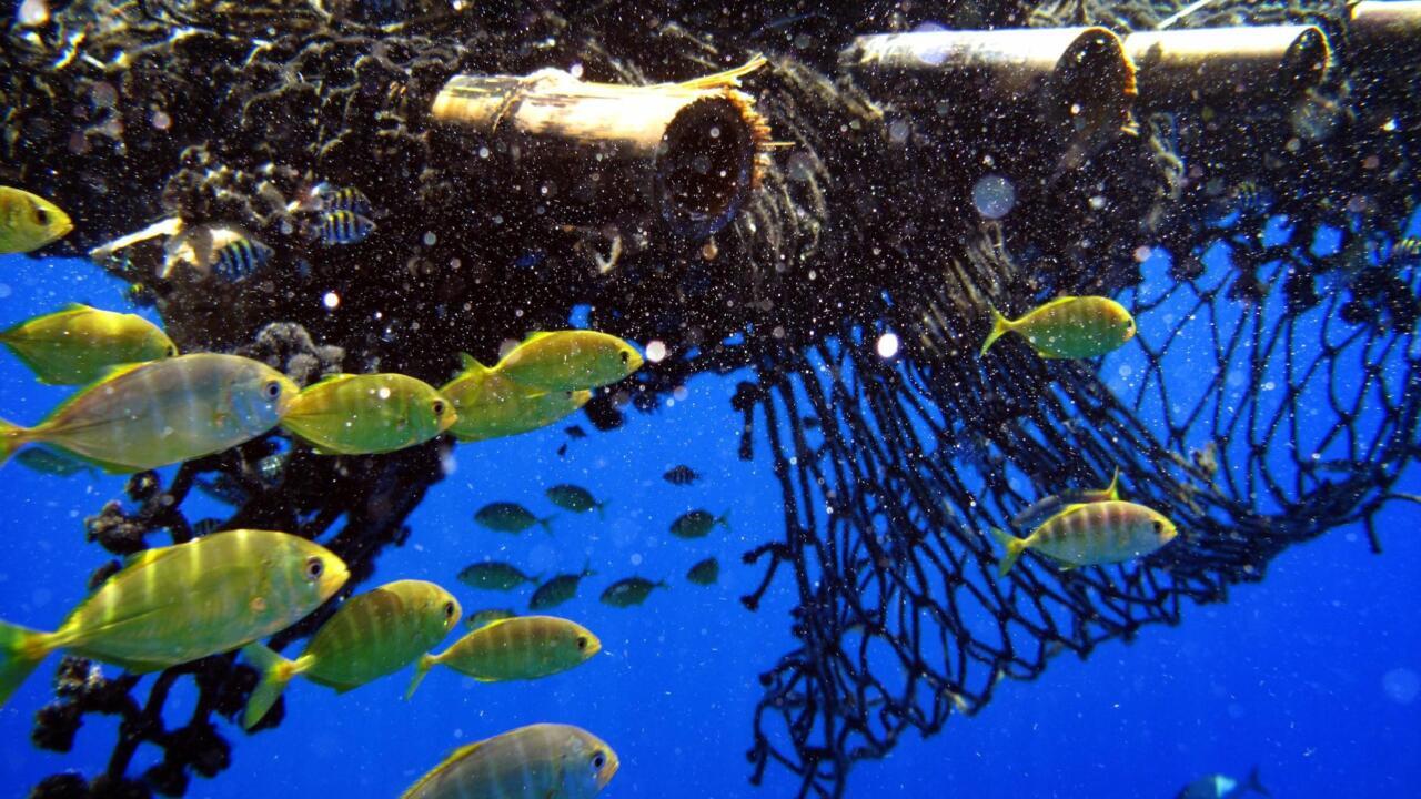 High seas, our best defence against climate change, need robust laws