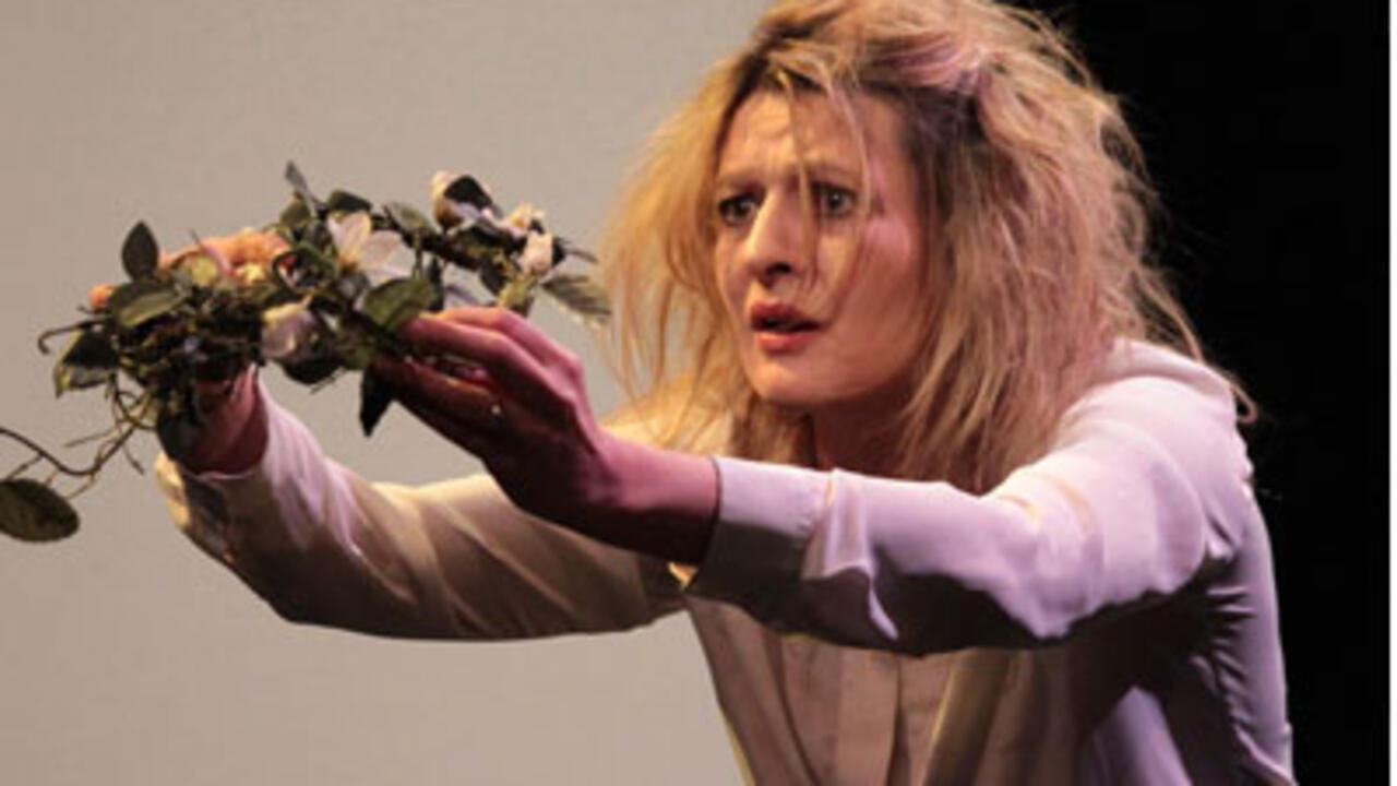 Le Projet Penthésilée de Catherine Boskowitz - Sur le pont des arts