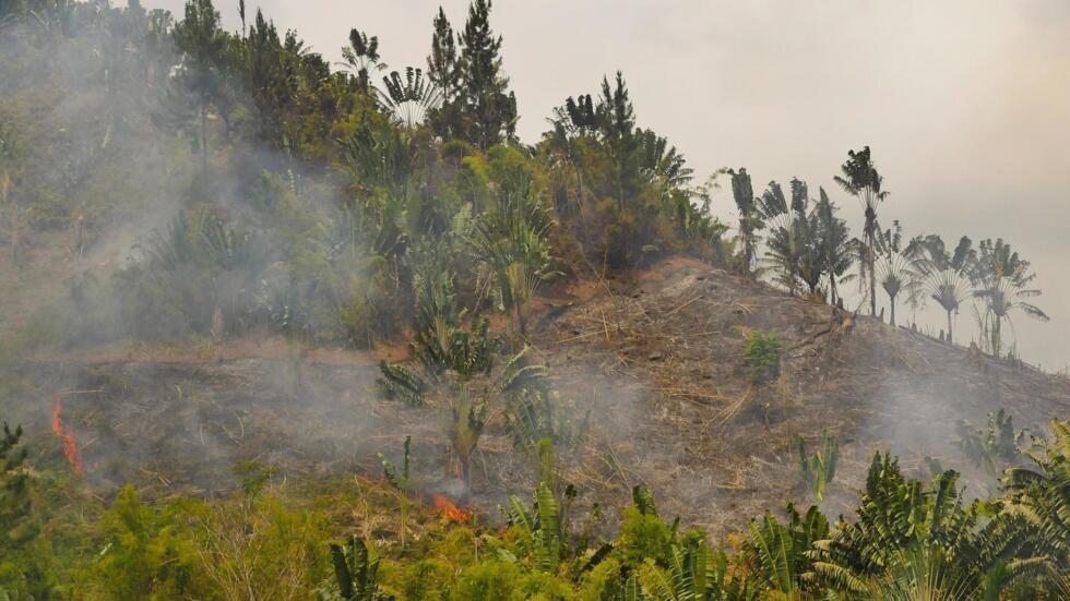 Cultures sur brûlis, feux et charbonnage...: ces fumées qui ...