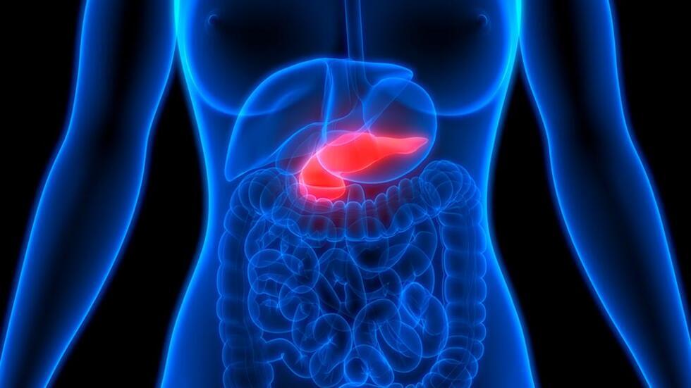 A quoi sert le pancréas ? - Le conseil santé