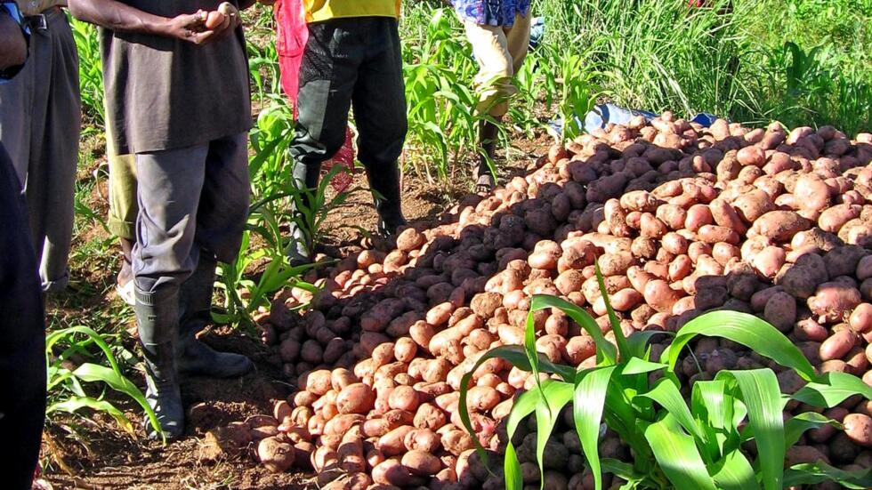 João Lourenço abre ano agrícola no Huambo
