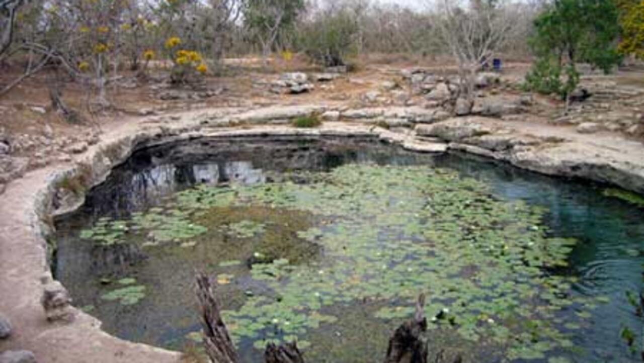 Chicxulub et sa couronne de "cenotes"