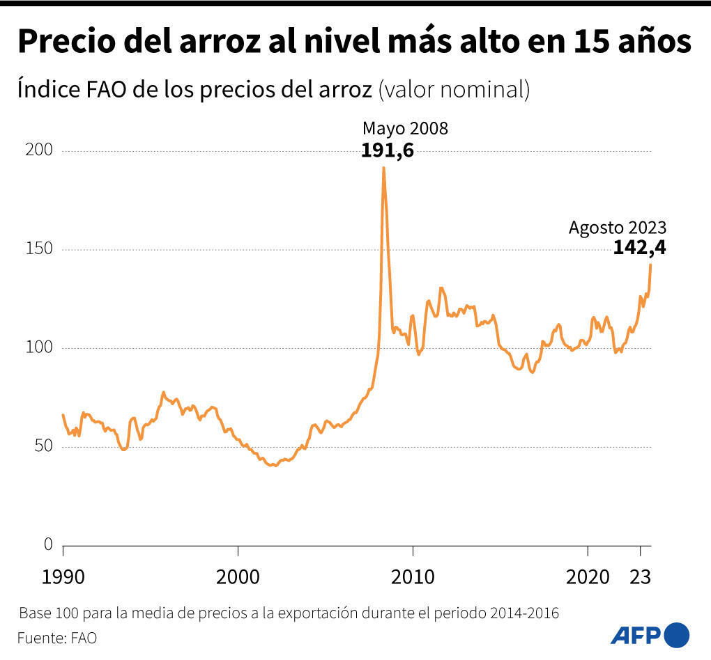 El arroz alcanza su precio mundial más alto en 15 años, según FAO
