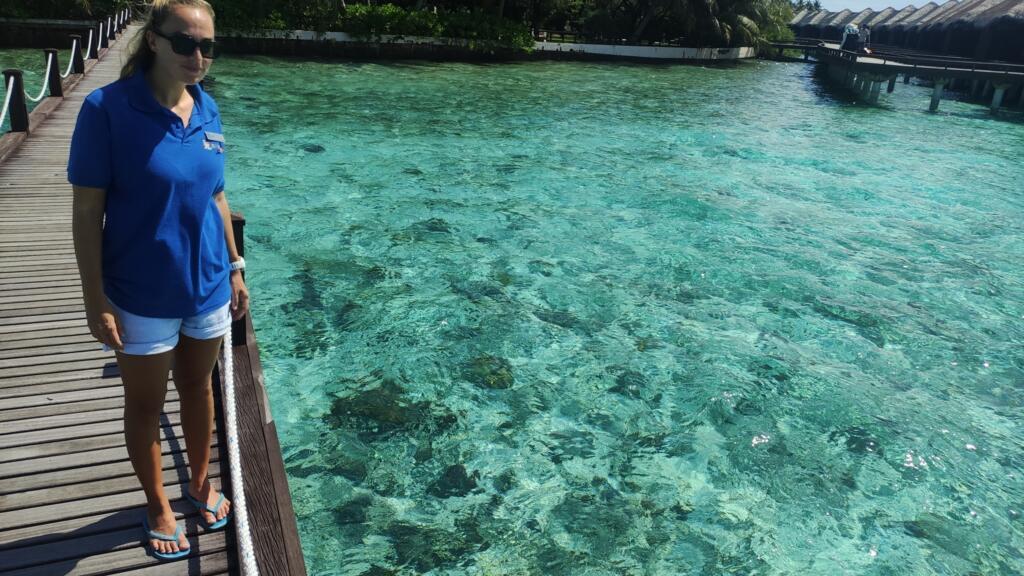 Aux Maldives, la course pour protéger les coraux contre le blanchiment ...