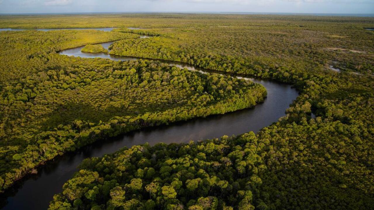 Mbinu za kiasili ili kukabiliana na changamoto za kijamii na hali ya ...