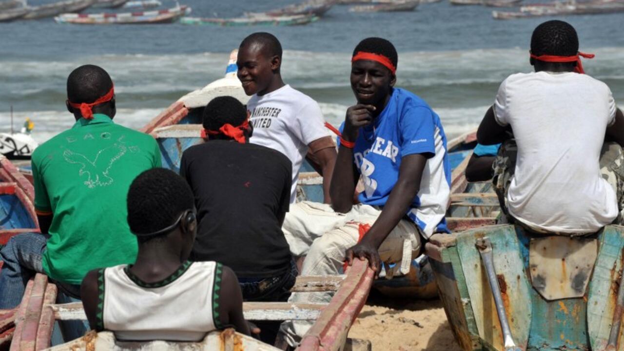 Sénégal : le thiof, se fait rare - Reportage Afrique