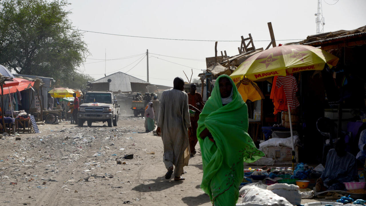 Niger: situation toujours précaire à Bosso après l'attaque de Boko Haram