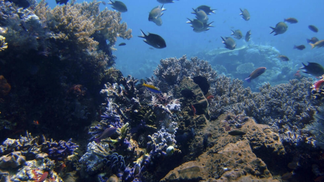 Anne-Sophie Roux: «Traité sur la haute mer, l'idée c'est de protéger ...