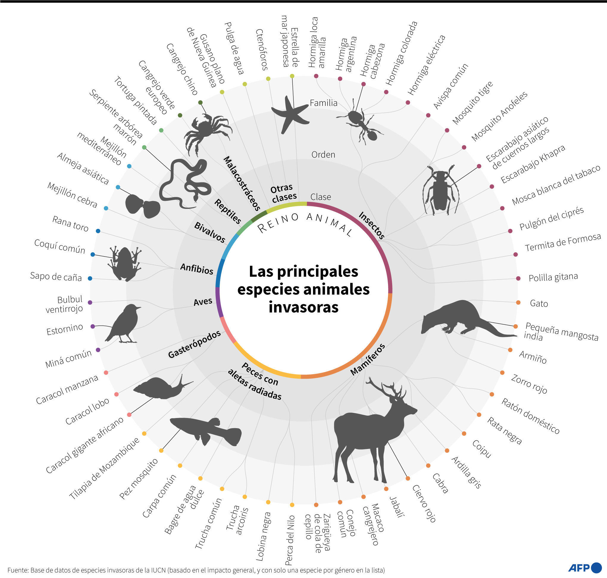 Las especies exóticas invasoras, una amenaza subestimada según un informe