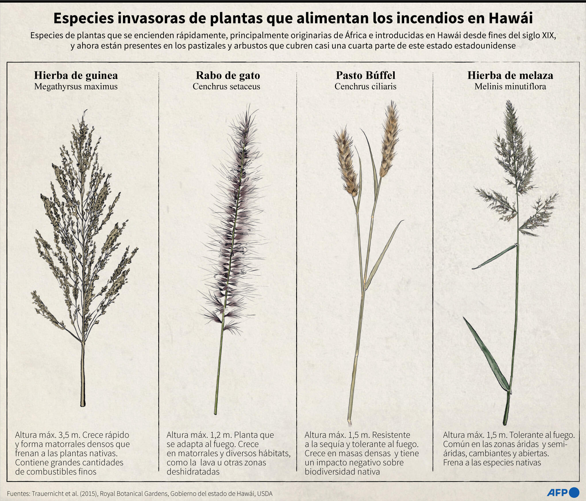 Las especies exóticas invasoras, una amenaza subestimada según un informe