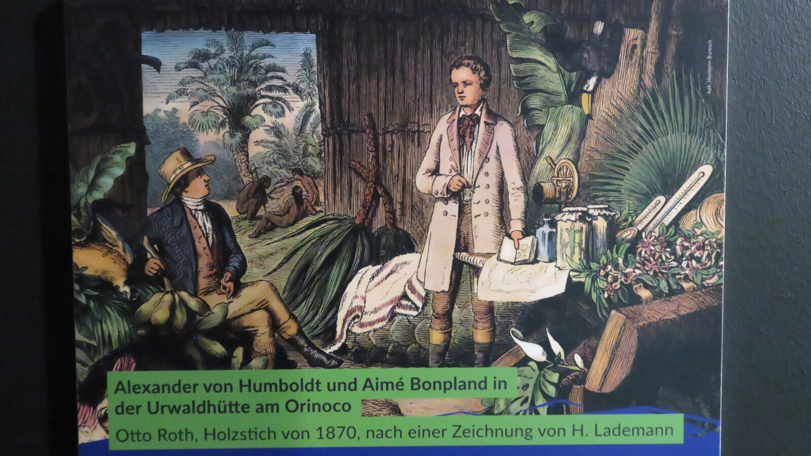 Paraguay rinde homenaje al prolífico botánico francés Aimé Bonpland ...