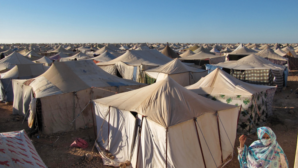 Morocco sentences 24 Sahrawi activists - African news explained