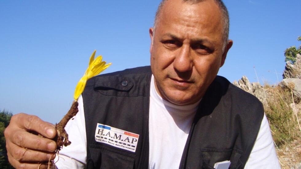 1. Le regard de d’Ibrahim El Ali sur l’environnement - C'est pas du vent