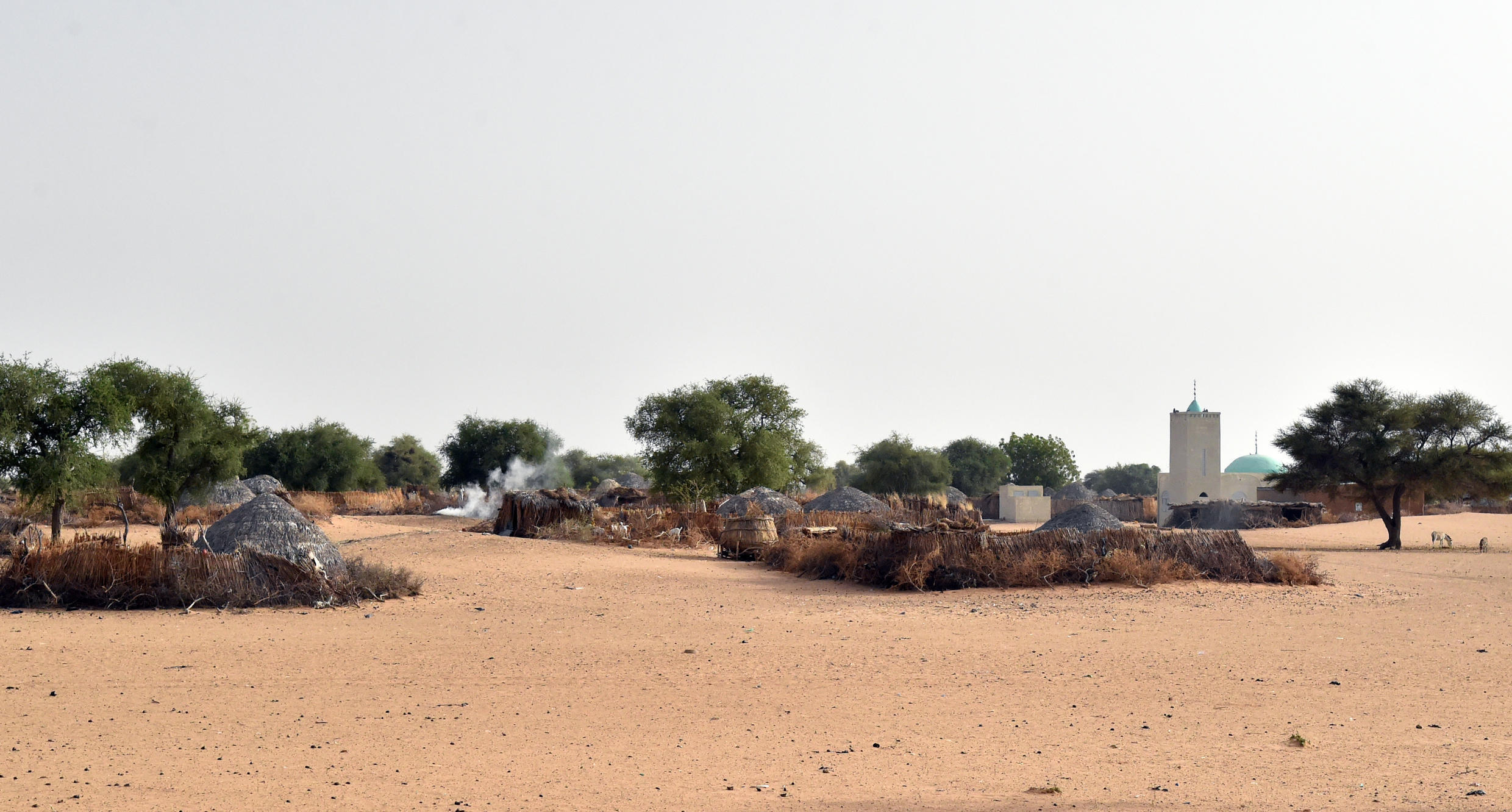 Niger: le CICR au secours des 30000 déplacés de Bosso