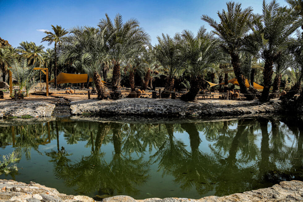 4,000-year-old town discovered hidden in Arabian oasis