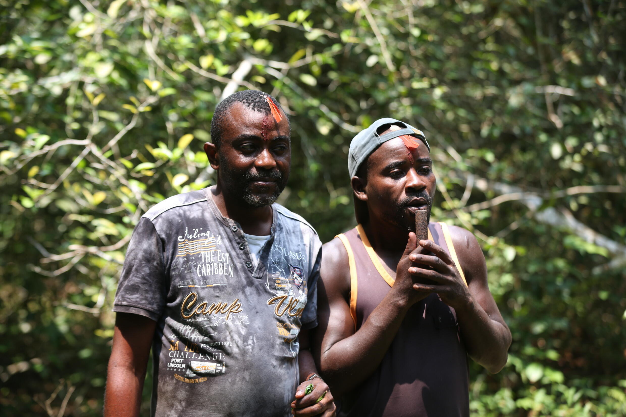 Gabonese village fights to save forest from logging
