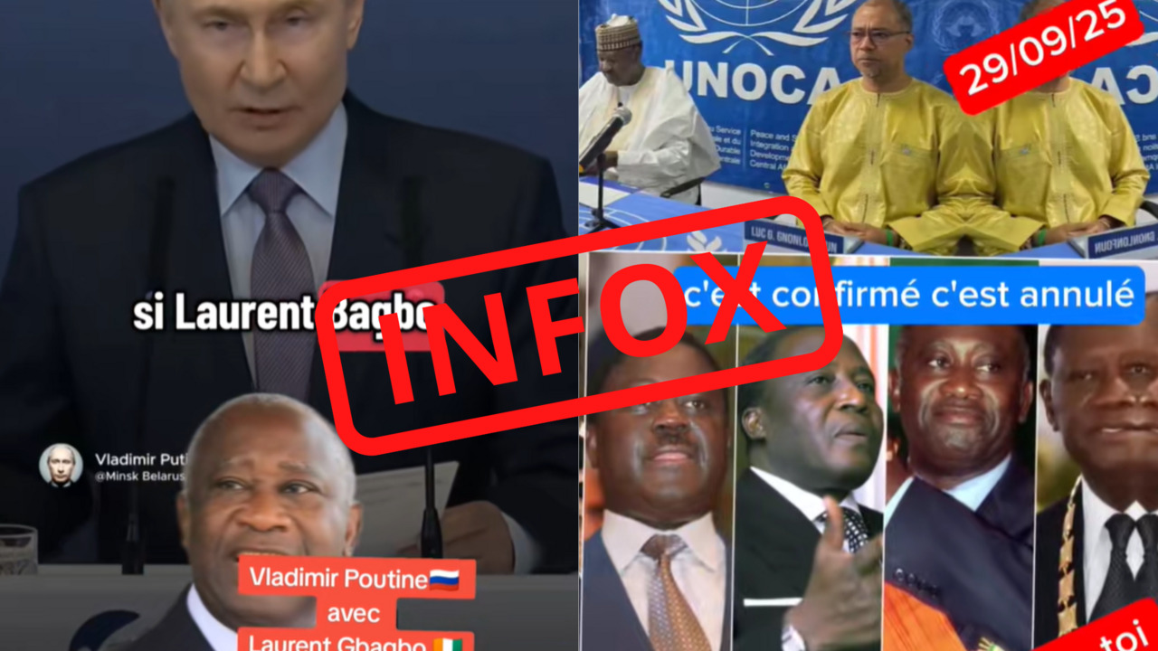 Côte d’Ivoire: l’élection présidentielle face à la désinformation - Les ...