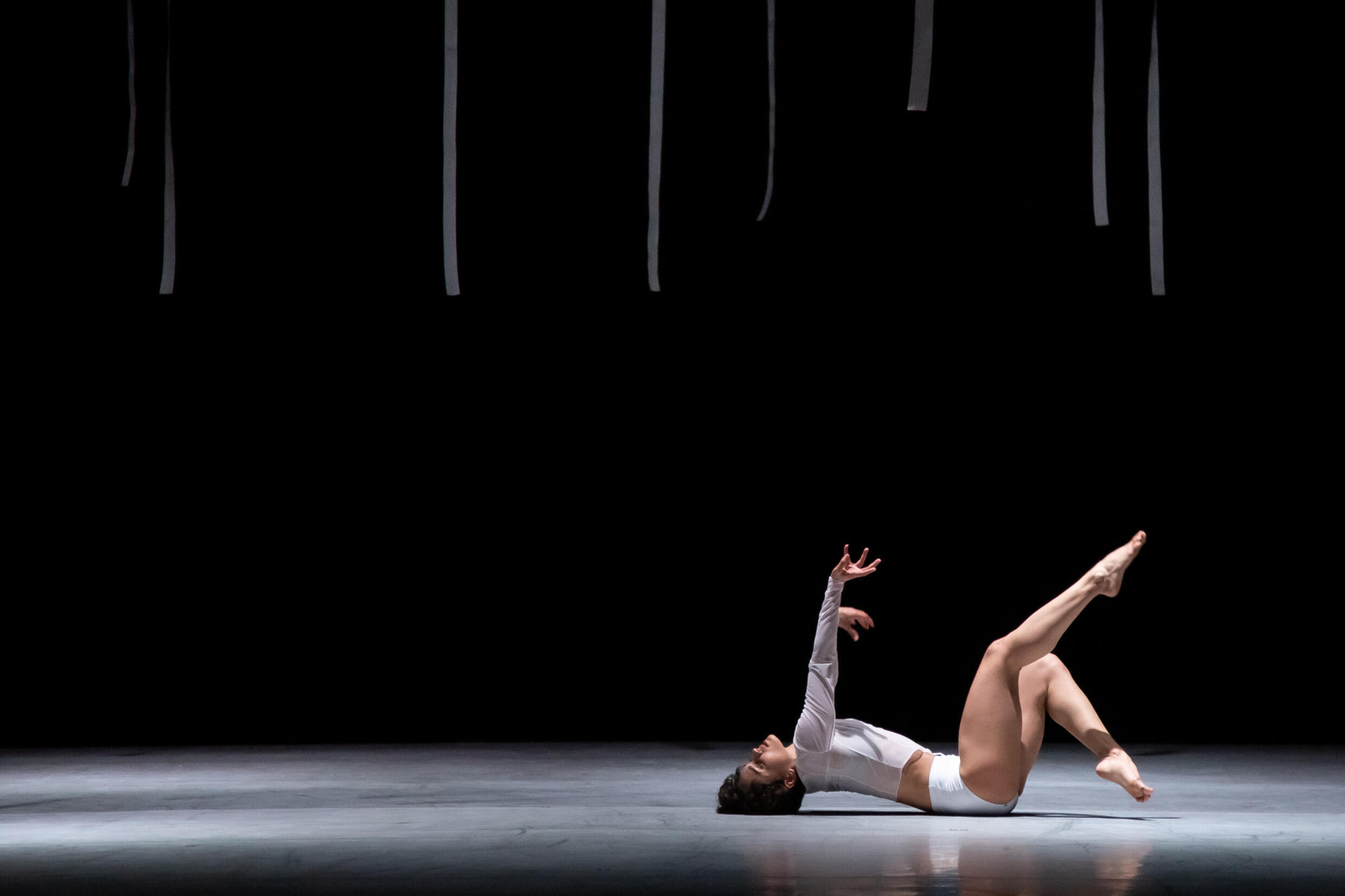 São Paulo Cia de Dança celebra 15 anos de 'identidade em movimento' com ...