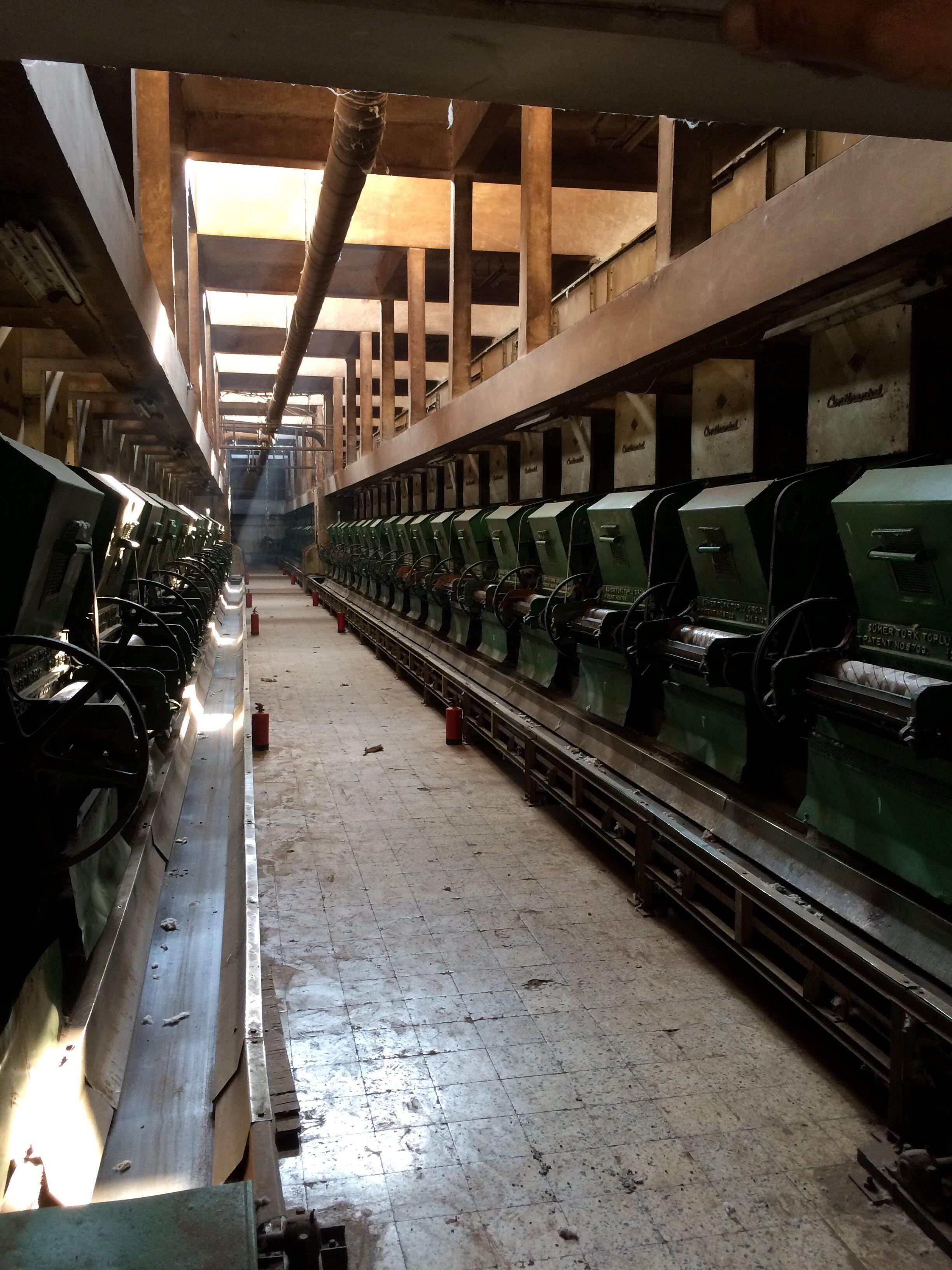 Has Egyptian cotton reached the end of the road? - Mid-East Junction