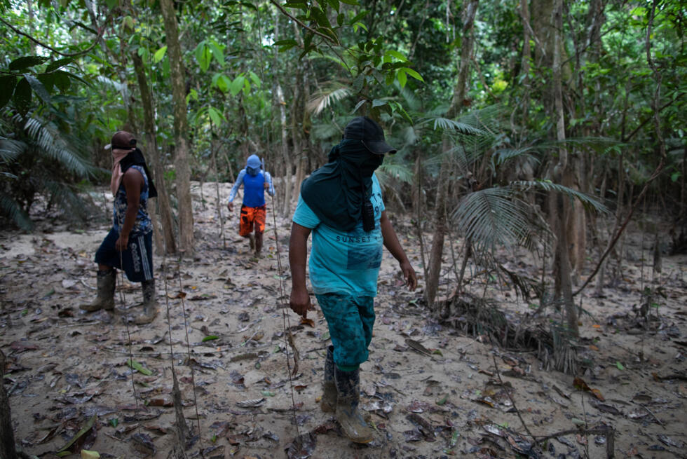 How Brazil's Javari Valley became a criminal haven