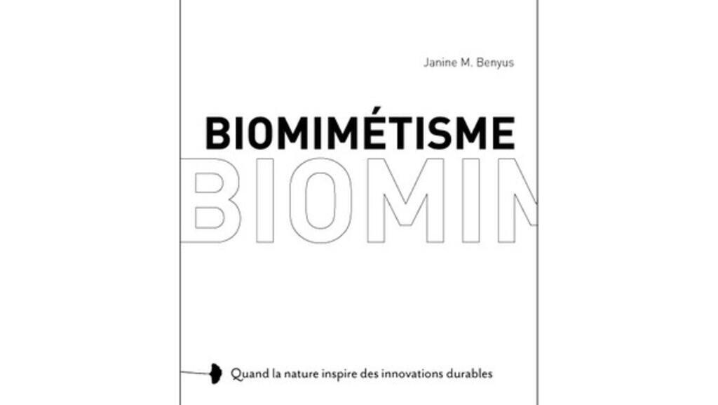 1. Le Biomimétisme, quand la nature inspire des innovations durables ...