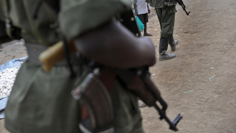 RDC: les rebelles FDLR livrent leur propre version de la mort de leur chef