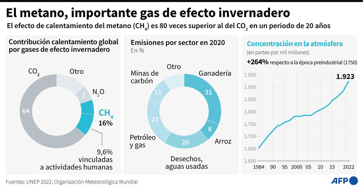Metano, N2O, gases fluorados: los otros gases de efecto invernadero
