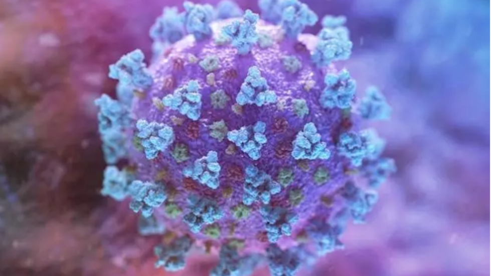 OMS afirma que Covid não foi eliminada e que vírus ainda provoca mil ...