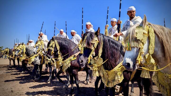 Sports traditionnels: la tbourida, ou l'art équestre de la fantasia à ...