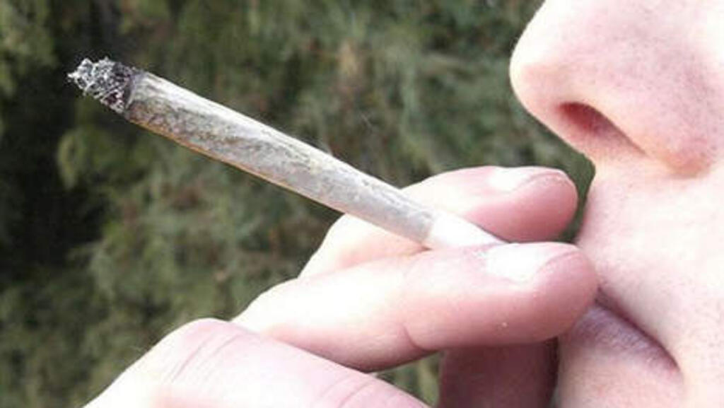 French Europe's biggest cannabis users